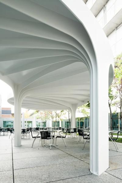 Quality Leaf Canopy Sculpture - Nature-Inspired Architectural Shade & Rain Protection for sale