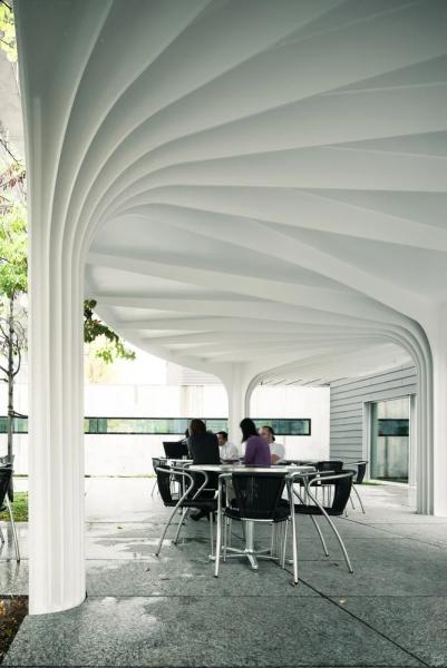 Quality Leaf Canopy Sculpture - Nature-Inspired Architectural Shade & Rain Protection for sale