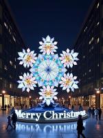 Quality Dazzling Outdoor Snowflake Light Christmas Decorations - Weatherproof Stainless for sale