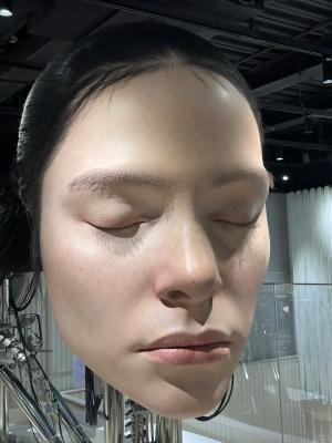 China Lobby Robotic Installation - Custom Responsive Face Sculpture for Gaming Resorts for sale