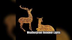 Outdoor Reindeer Lights IP65 Weatherproof
