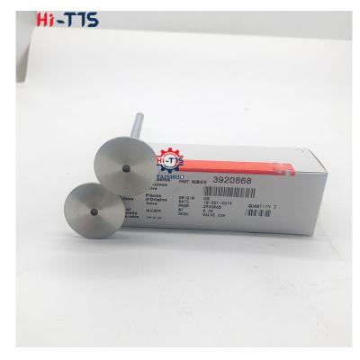 China 4BT 6BT 6D102 Diesel Engine Intake Valve Exhaust Valve 4995554 3901117 3920867 3920868 for sale