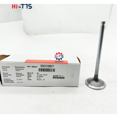 Cina 6BT 3920867 Valvole motore aftermarket per escavatore  Valvole di scarico in vendita