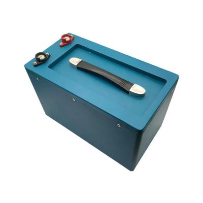 China 48V 100Ah Lithium Golf Trolley LiFepo4 Battery Pack Deep Cycle Golf Buggy Use for sale
