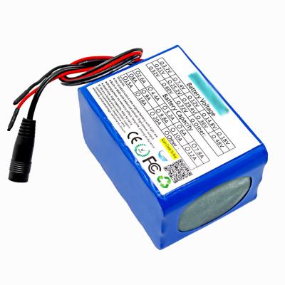 China van de de Kringsbescherming van PCB van 12V 10Ah 18650 Li Lon Battery Pack With de Raadsdraad Te koop