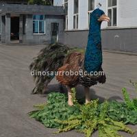 China Customizable Size Realistic Interactive Animatronic Peacock for Commercial Use for sale