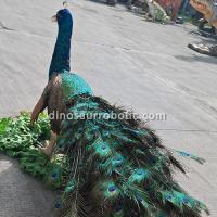 China Customizable Size Realistic Interactive Animatronic Peacock for Commercial Use for sale