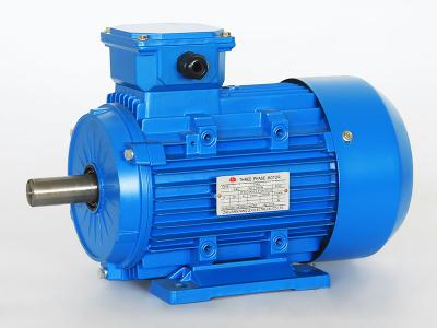 China YE2 series 90KW three phase AC electric motor,three phase induction motor for sale