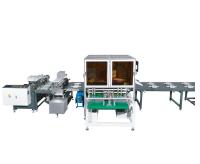 China LY-850DN Multifunctional servo independent control double Visual automatic positioning machine for sale
