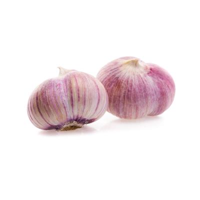China High Quality Fresh Red Garlic Wholesale Garlic Price for sale