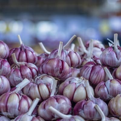 China Fresh Natural Red Garlic Best Price for sale
