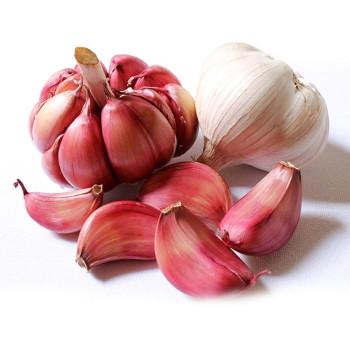 China Fresh Pure Red White Export Garlic With Good Quality for sale