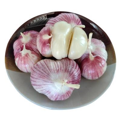 China Vegetables Red Garlic for sale