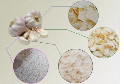 China Fried Garlic Flakes for sale