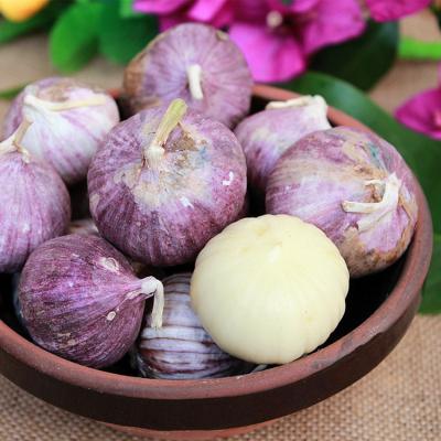 China Fresh Style And Siliceous Vegetables Product Type Single Clove Garlic for sale