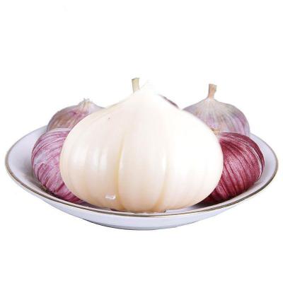 China Fresh New Crop Of Solo Garlic Single Clove Garlic From Best Food for sale