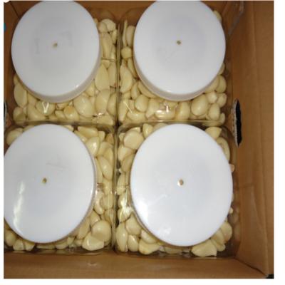 China Export New Crop White Peeled Garlic for sale