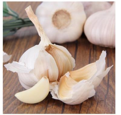China Hot Sale Peeled Garlic Wholesale Suppliers for sale