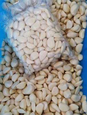 China Good Quality Nitrogen Filled Fresh Peeled White Garlic Clove for sale