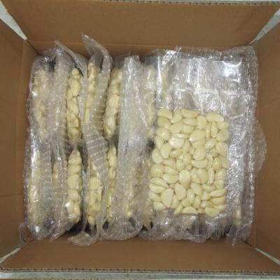 China Fresh Peeled Garlic With Low Price for sale