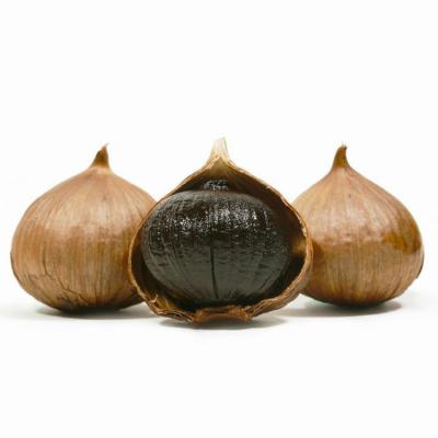 China High Qualtiy Black Garlic & High Content Allicin Alliin - Garlic Extract for sale