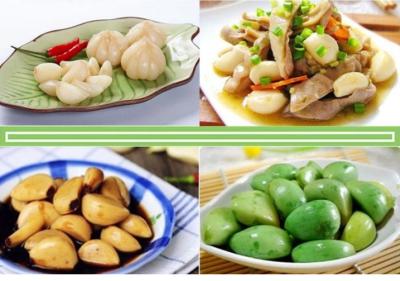 China Chinese garlic health benefit fresh peeled garlic for sale