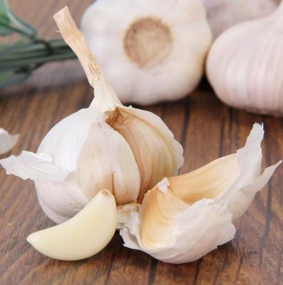 China Peeled Vacuum Packed Garlic Cloves Peeled Garlic for sale