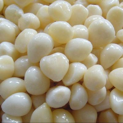 China Natural Garlic/Fresh Peeled Garlic Bulk for sale