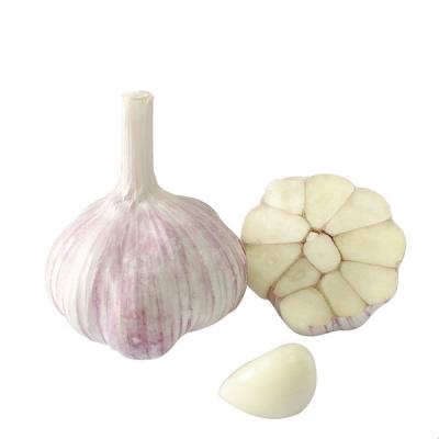 China Food Chinese White Garlic -2019 New Crop, Top Quality for sale