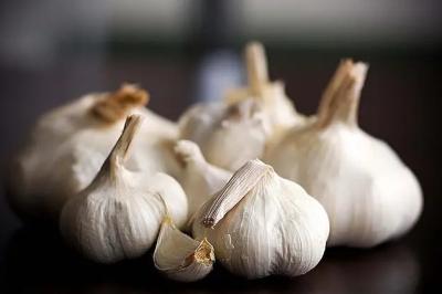 China Chinese fresh white garlic good price for sale