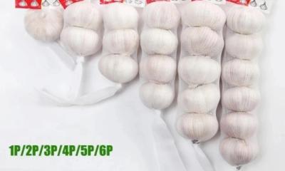 China Supplier wholesale new crop fresh chinese 3p pure white garlic with best price for sale
