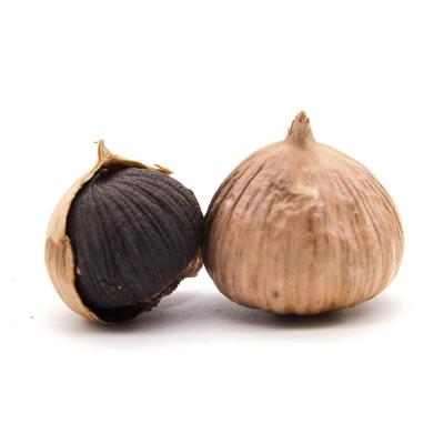 China Chinese fermented solo black garlic for sale