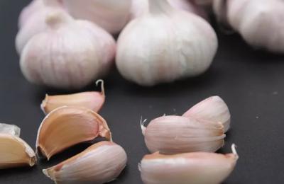 China Red Skin China Fresh Garlic new crop for sale