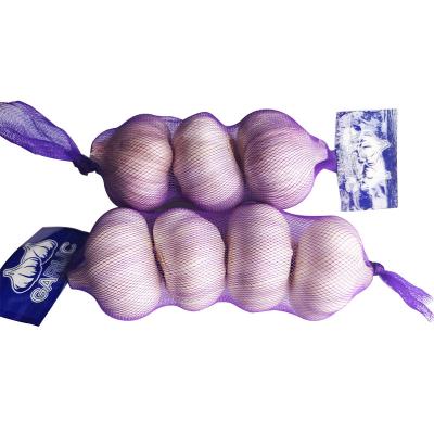 China 2019 new crop China red garlic for sale