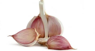 China Hot sale red garlic from chinese farm for sale