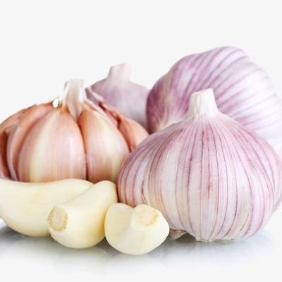 China 2019 Fresh Garlic red for export for sale