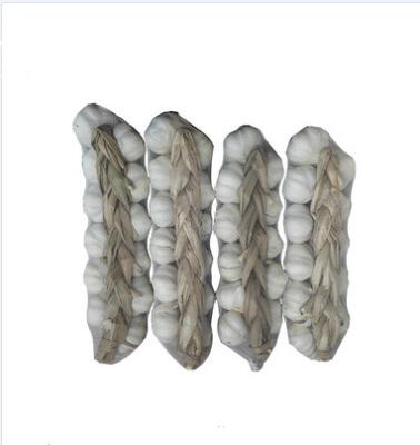 China Dried Pure White Garlic for sale