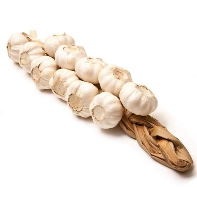 China Fresh Braid Garlic for sale