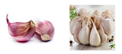 China Fresh Nutrition Normal White Garlic of China for sale