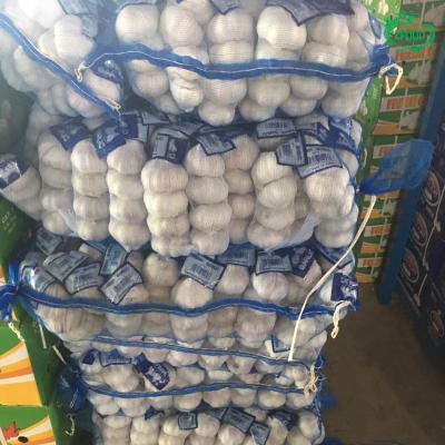 China 2019 Fresh Normal White Garlic Suppliers in China for sale
