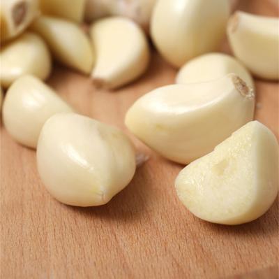 China Normal white garlic 5.5cm for sale