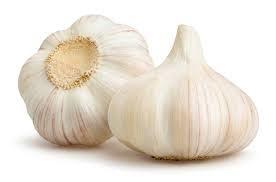China Wholesale Importer Chinese Garlic Fresh for sale