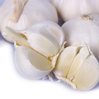 China 2019 Crop Fresh Normal/Pure Garlic with 5/6/7cm Fresh Vegetable From China for sale