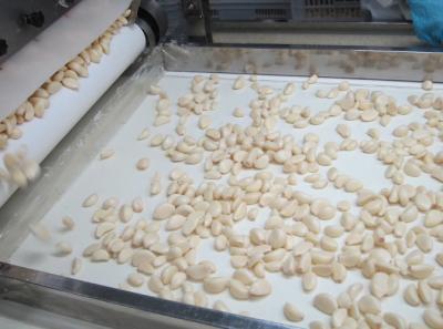 China Export Good Quality Fresh Chinese Peeled Garlic for sale