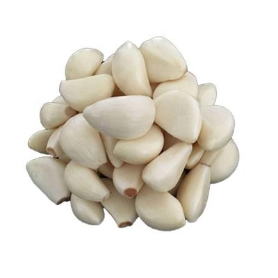 China China Fresh white garlic peeled for sale