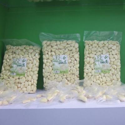 China Chinese fresh peeled garlic, vacuum packed peeled garlic cloves for sale