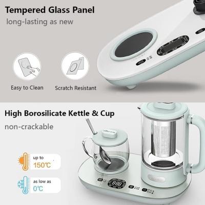 Cina 300 ml e 600 ml Cisterna per infusione di teiera in vetro con infusore di riscaldamento a bollire in vendita
