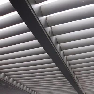 Cina Feritoia di alluminio verticale di Sun del parasole moderno per la costruzione decorativa in vendita