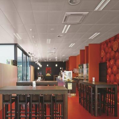 Китай Подгонянный алюминиевый зажим металла в потолке для сопротивления носки библиотеки продается