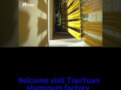 3D Model Artistic Aluminum Slat Ceiling Aluminum Wall Art Panels